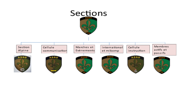 Les cellules de l’ASSO Sion – SOF Sion